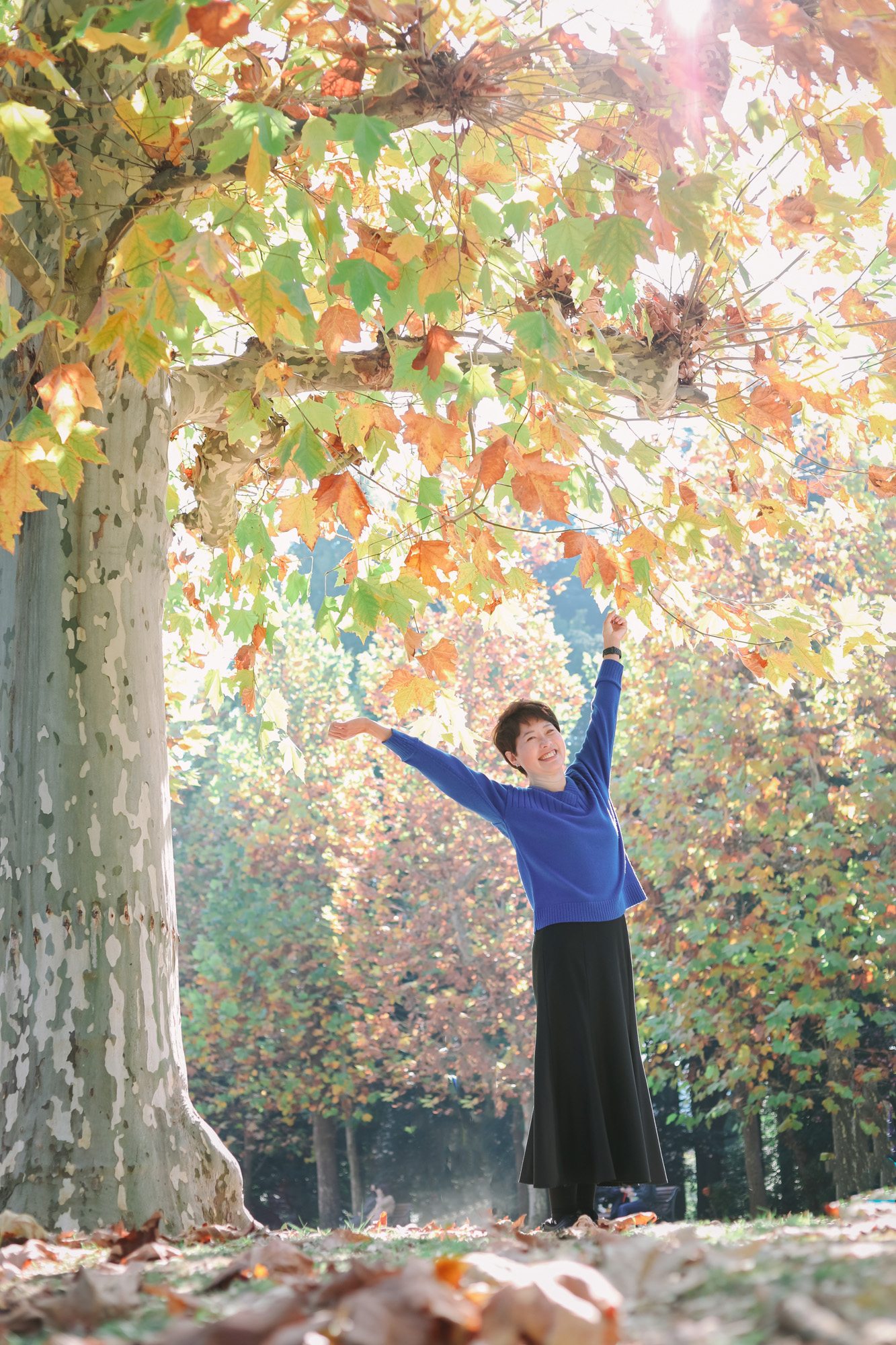 プロフィール – everblue.evergreen.