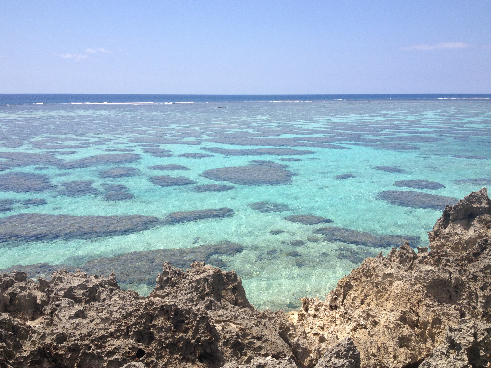 everblue.evergreen. | 人生は冒険の旅